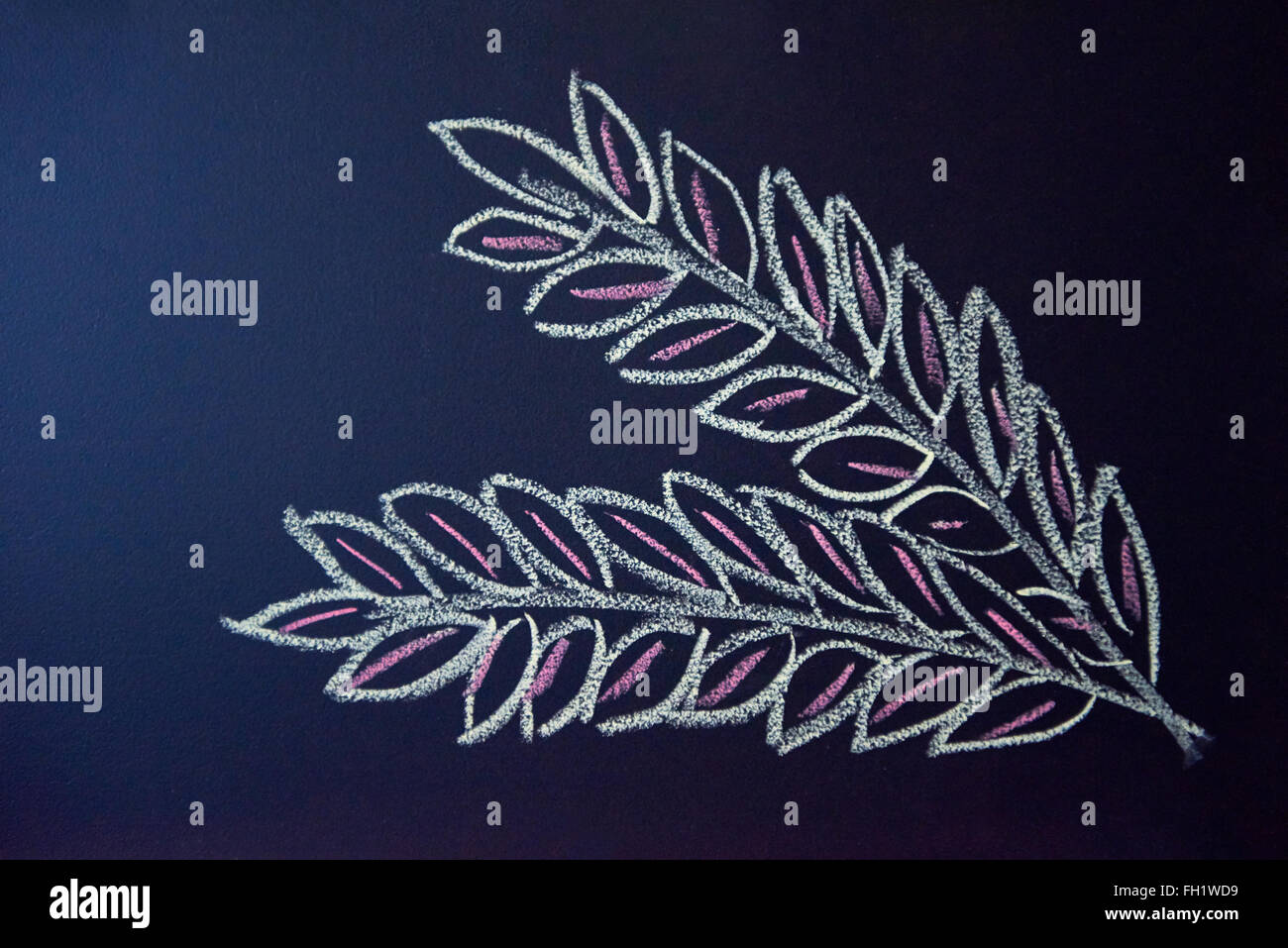 Chalkboard drawings hi-res stock photography and images - Alamy