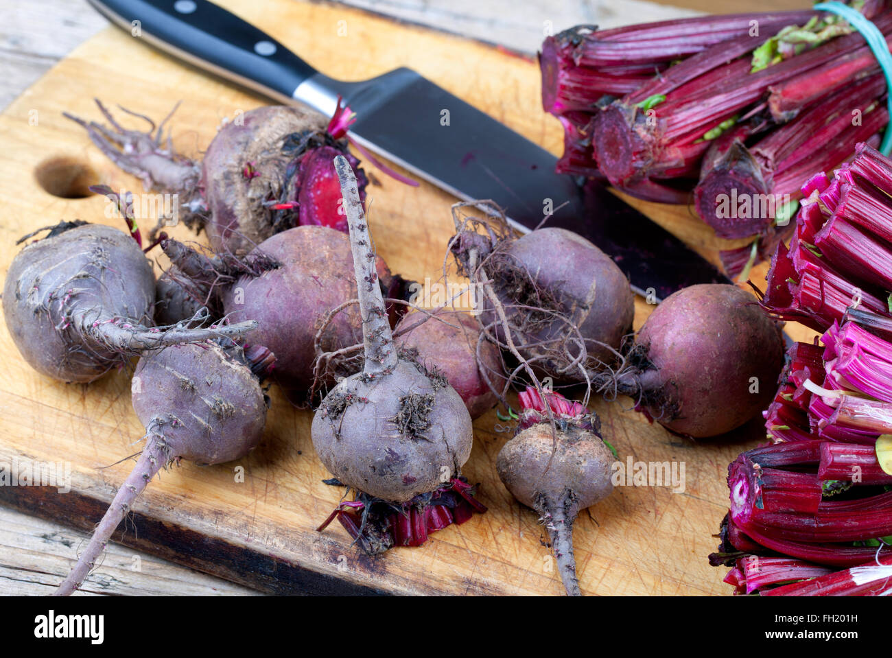 Beet root leaf cut hi-res stock photography and images - Alamy