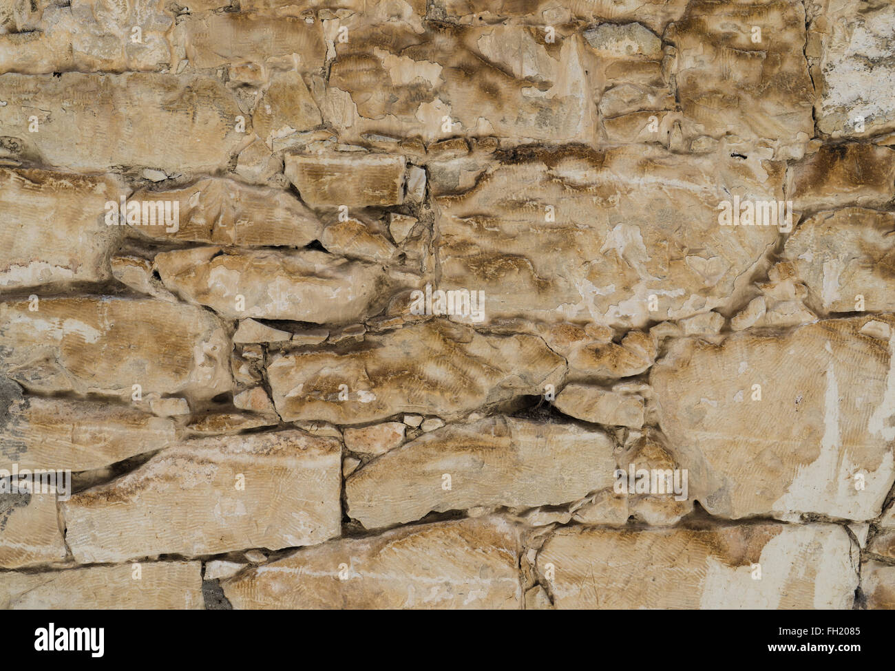 Aged shell rock Stone wall texture or background. Large resolution ...