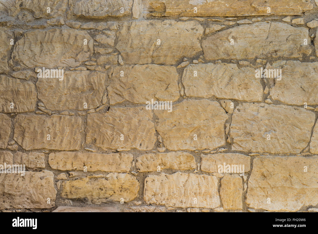 Old coquina Stone wall texture or background. Large resolution Stock ...