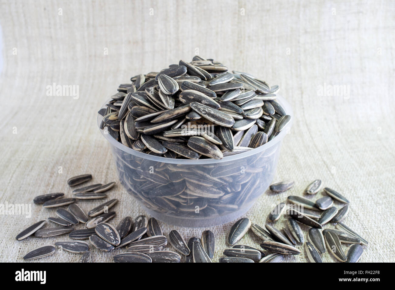 Sunflower seeds in see through cup, on canvas Stock Photo - Alamy