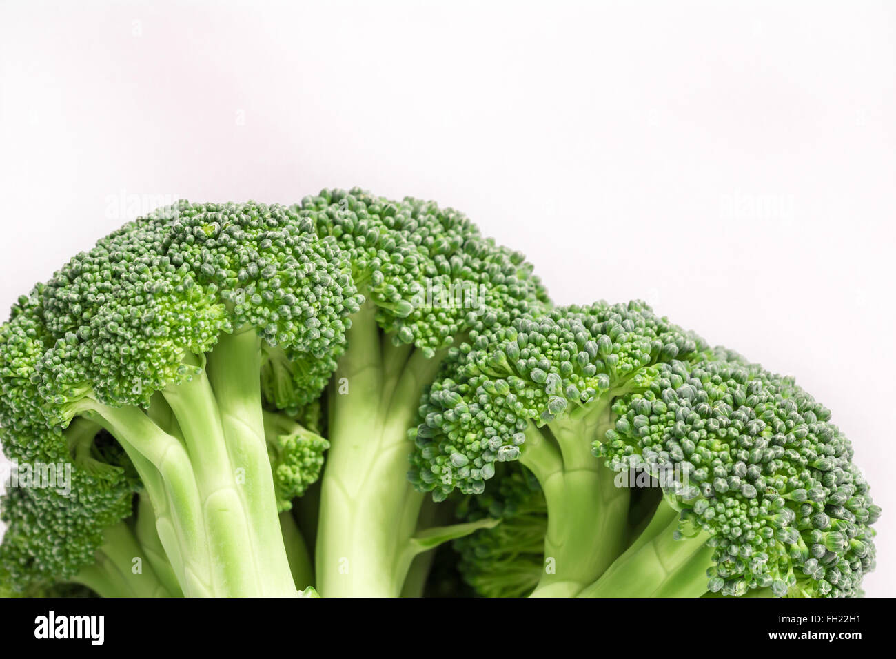 Broccoli isolated on white background Stock Photo - Alamy