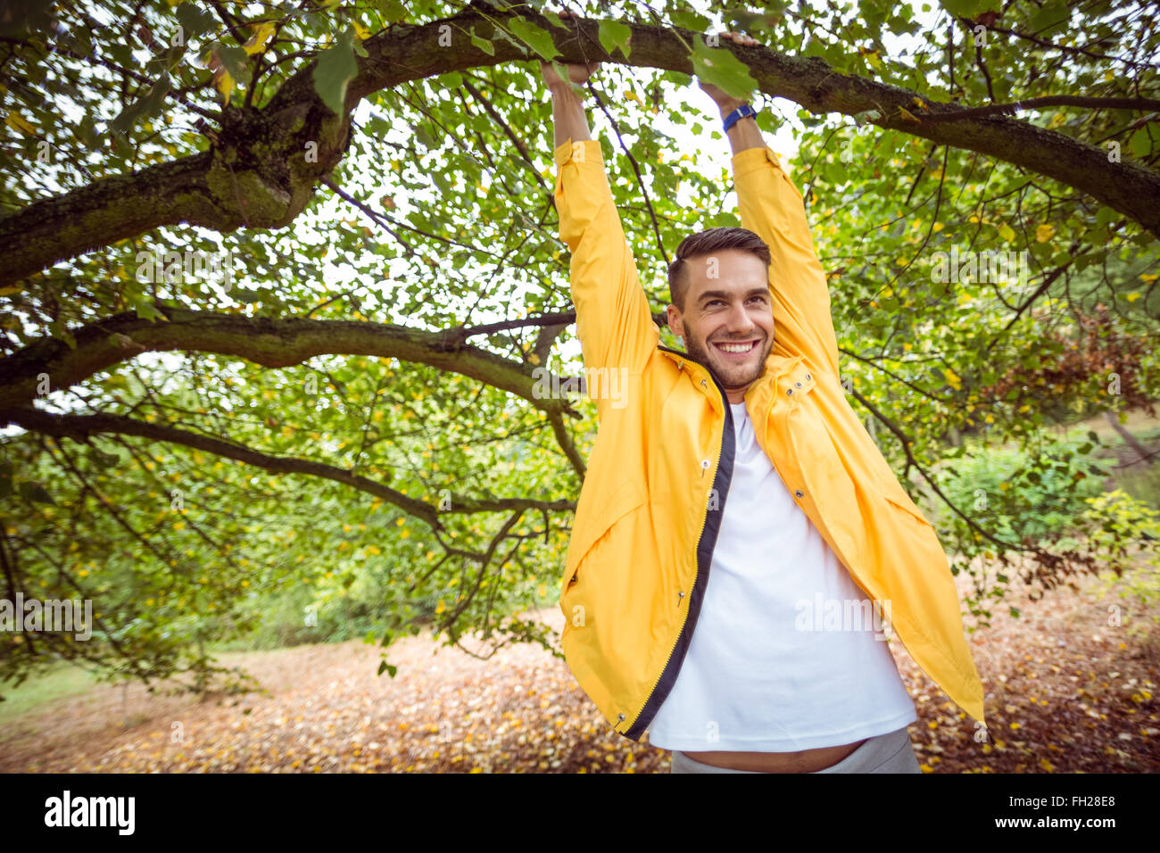 Handsome man hanging from tree Stock Photo - Alamy