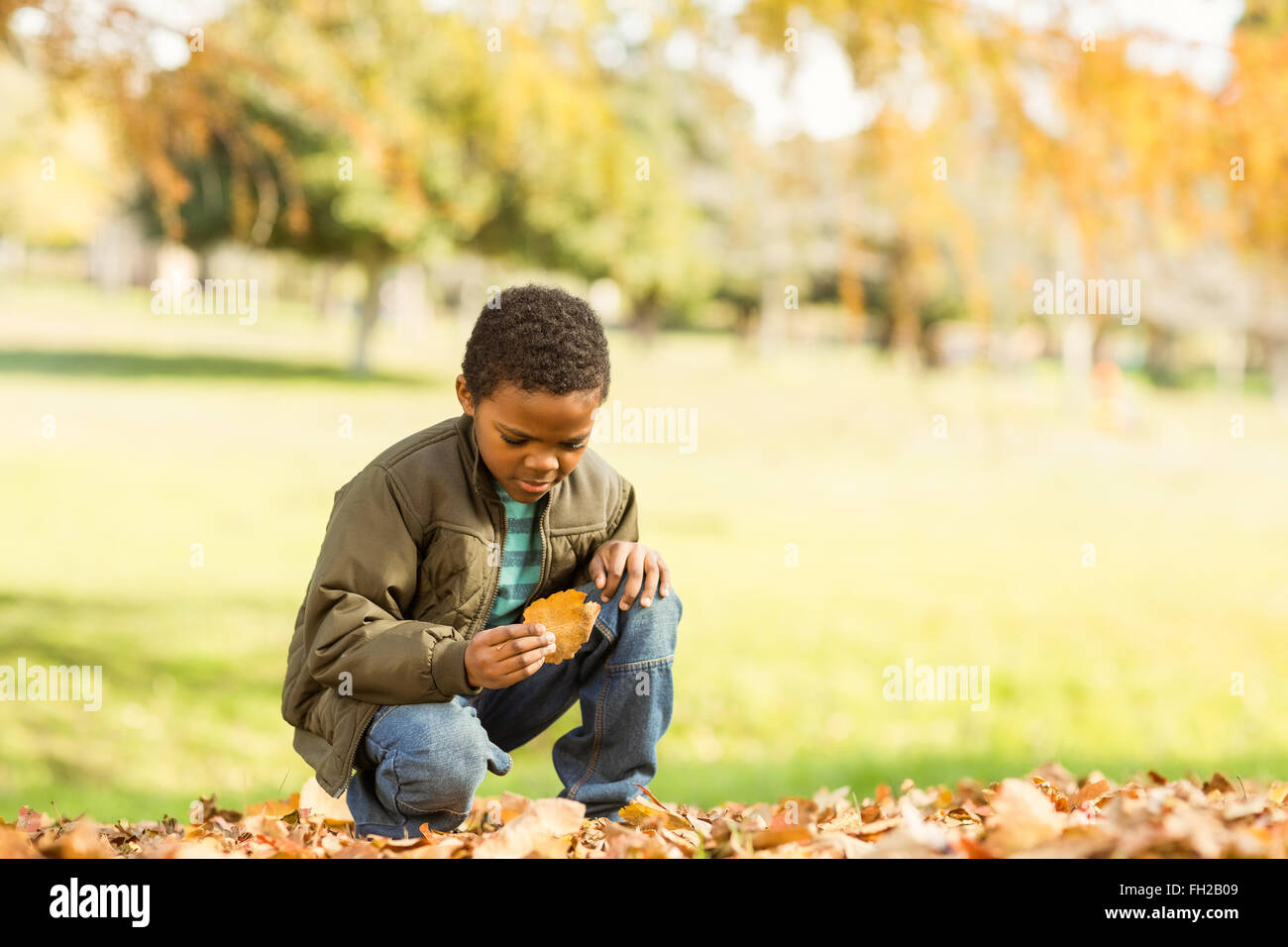 Little boy picking up some leaves Stock Photo - Alamy