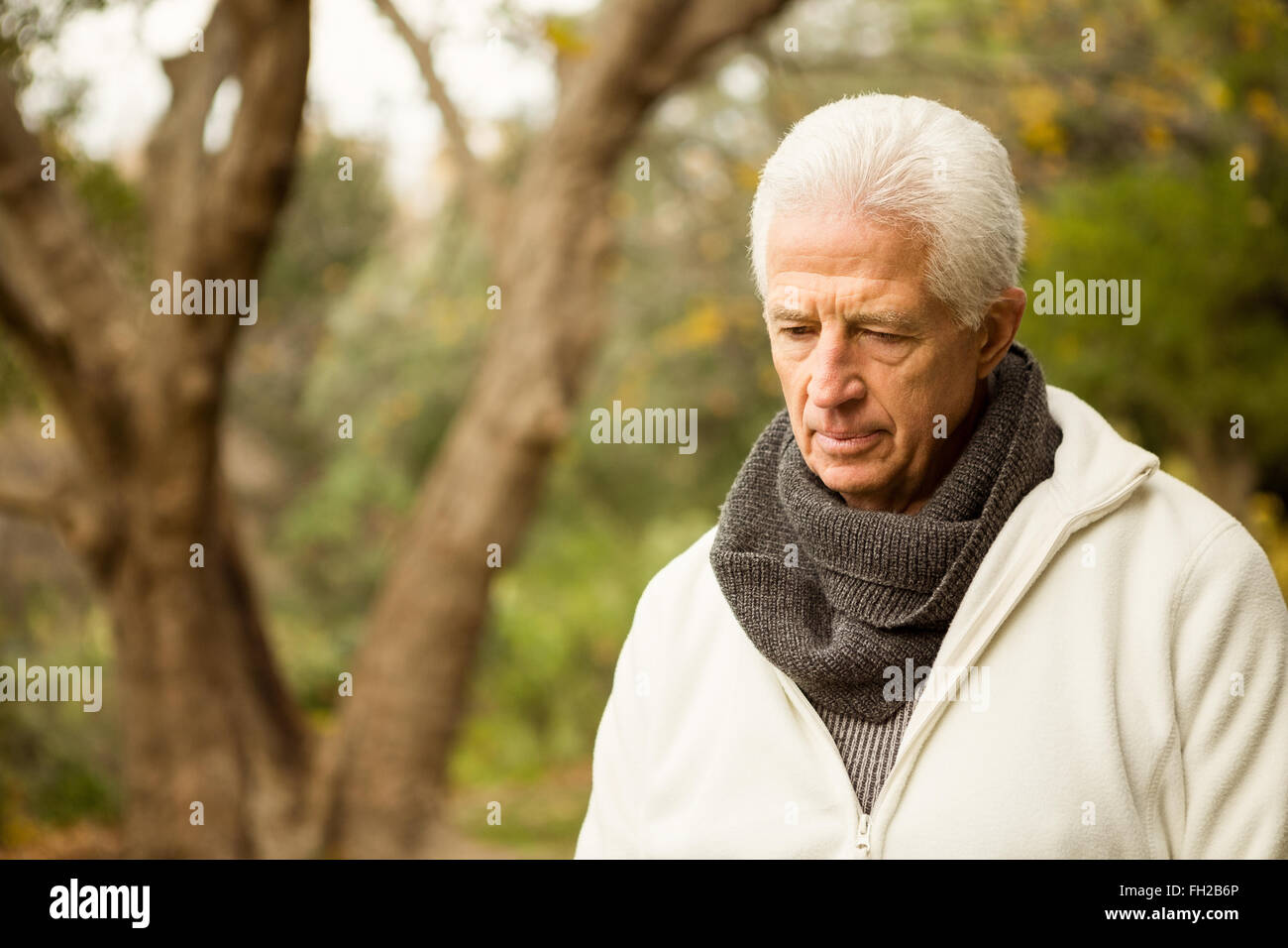 Senior man in the park Stock Photo - Alamy