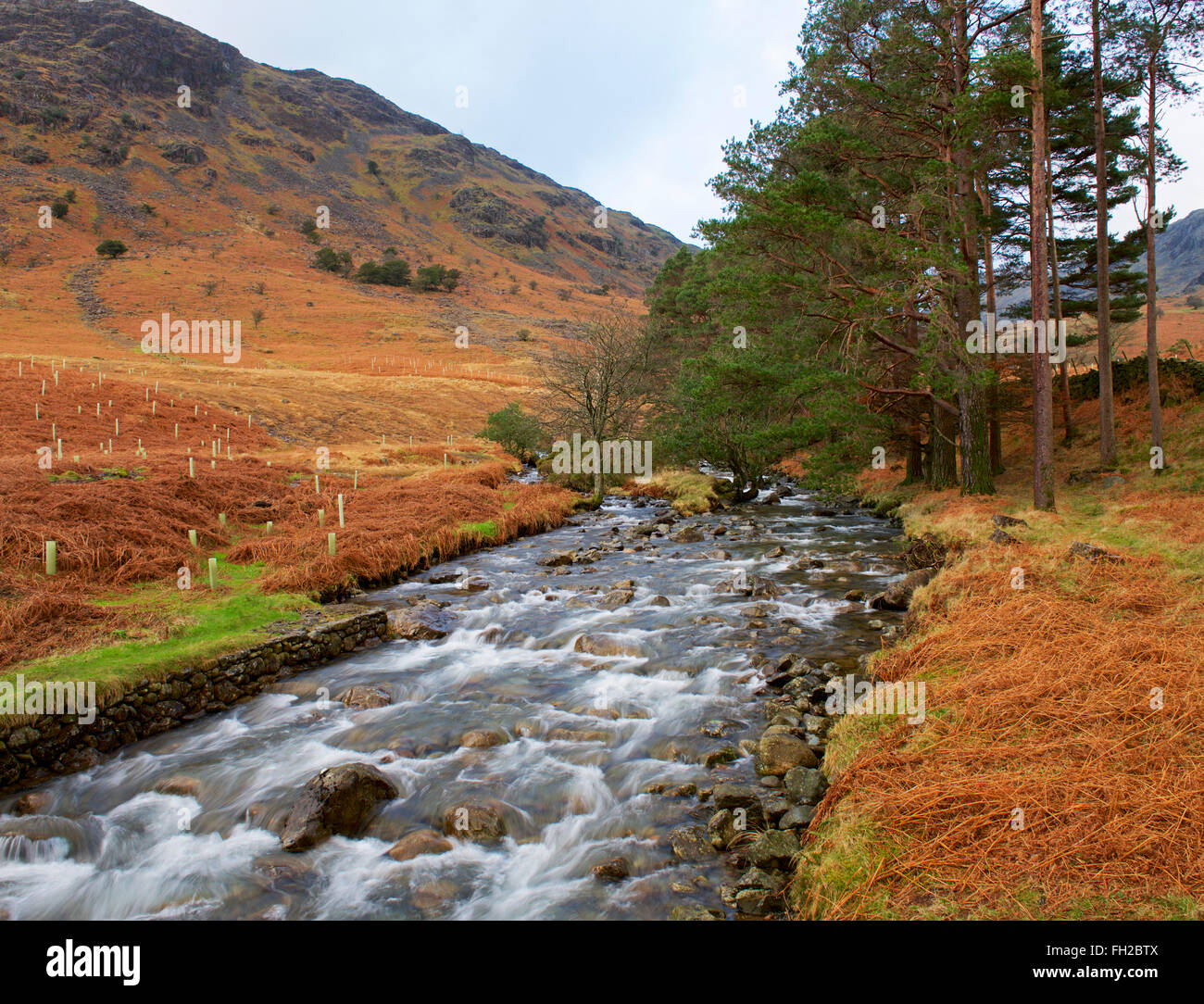 Nether Beck, Wasdale, West Cumbria, England UK Stock Photo - Alamy