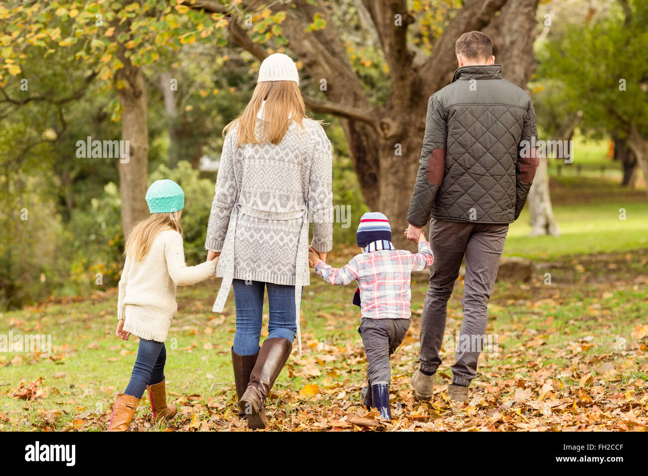 Rear view of a young family Stock Photo - Alamy