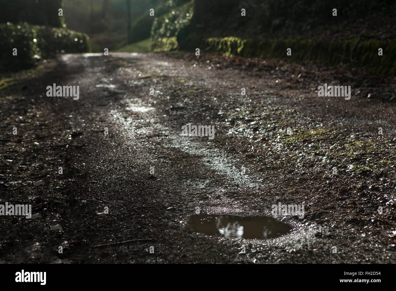 Beautiful Spring countryside landscape with puddle at road after rain ...
