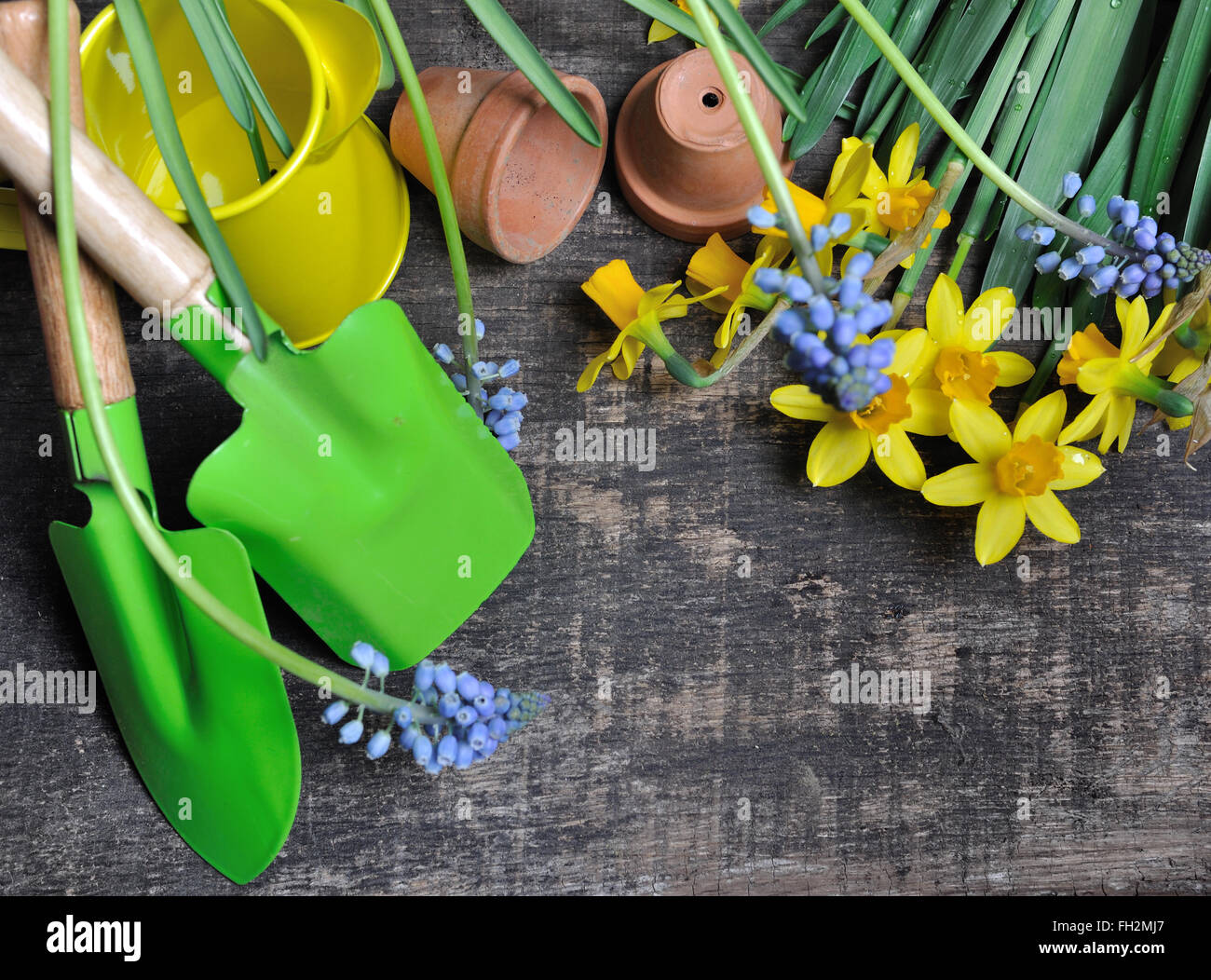 Spring tools hi-res stock photography and images - Alamy