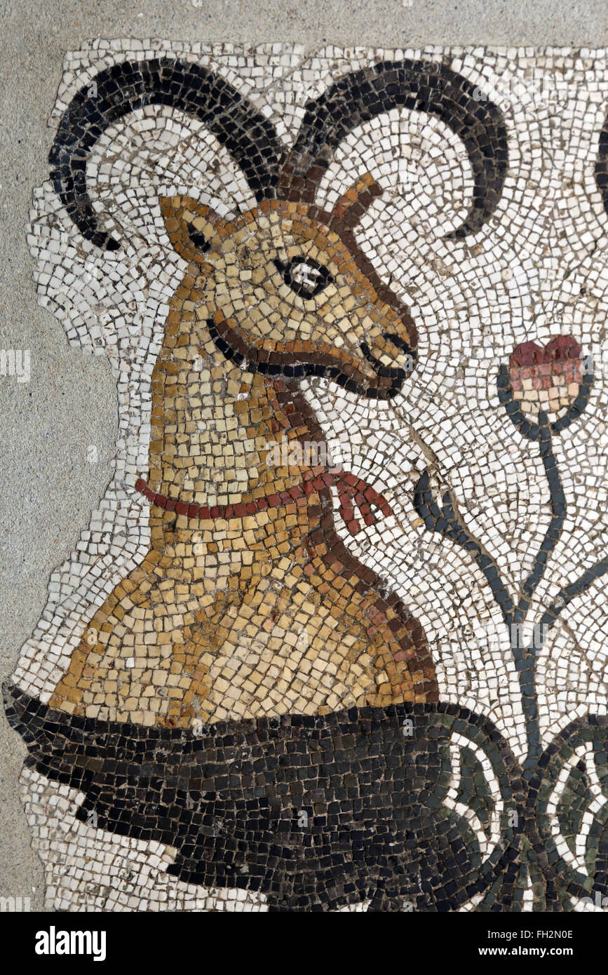 Roman mosaic of a Phoenix. Ibex head. Detail. From Daphne, a suburb of ...