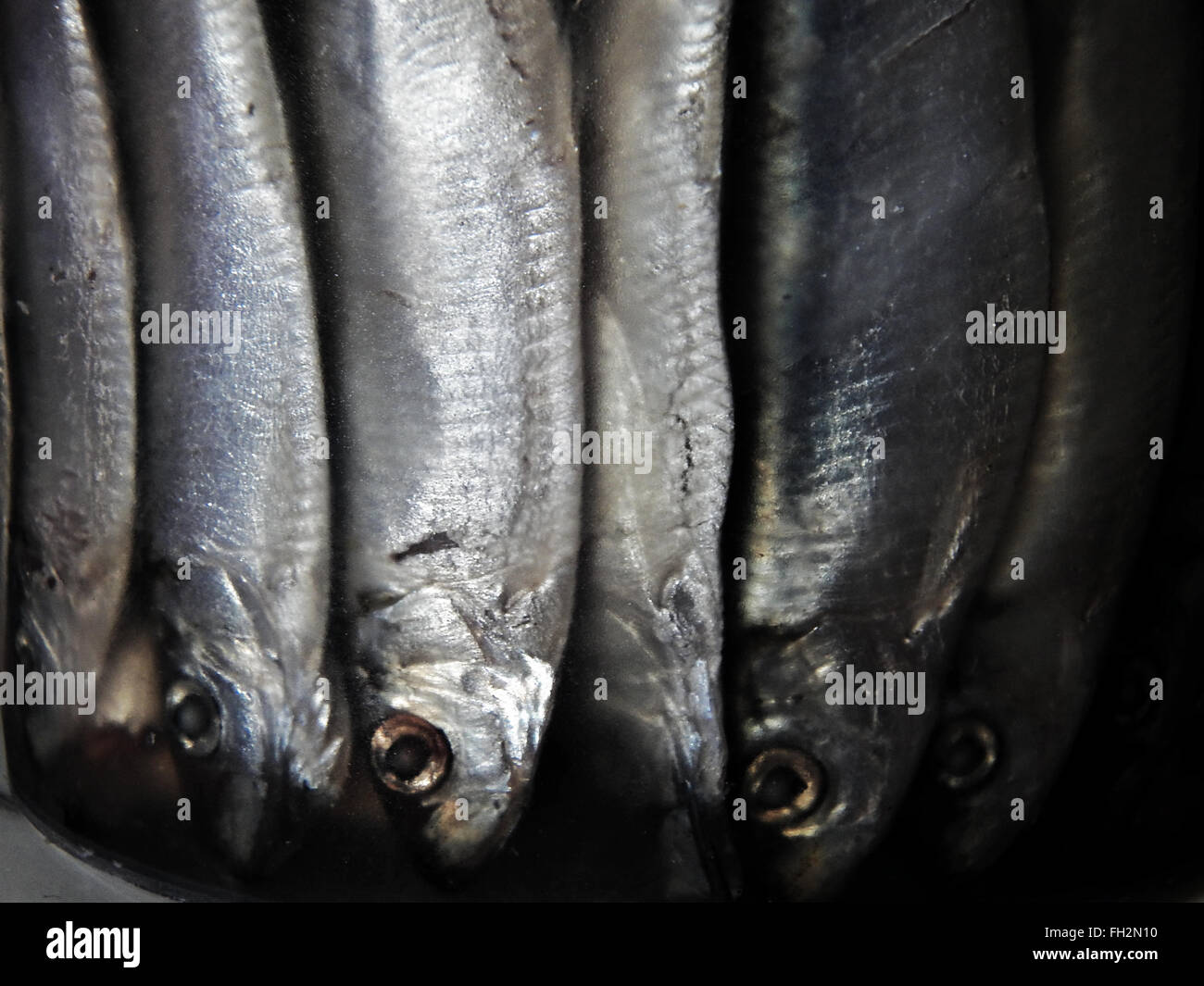 the canned sprat container, Overcrowded with fish. upside down Stock ...