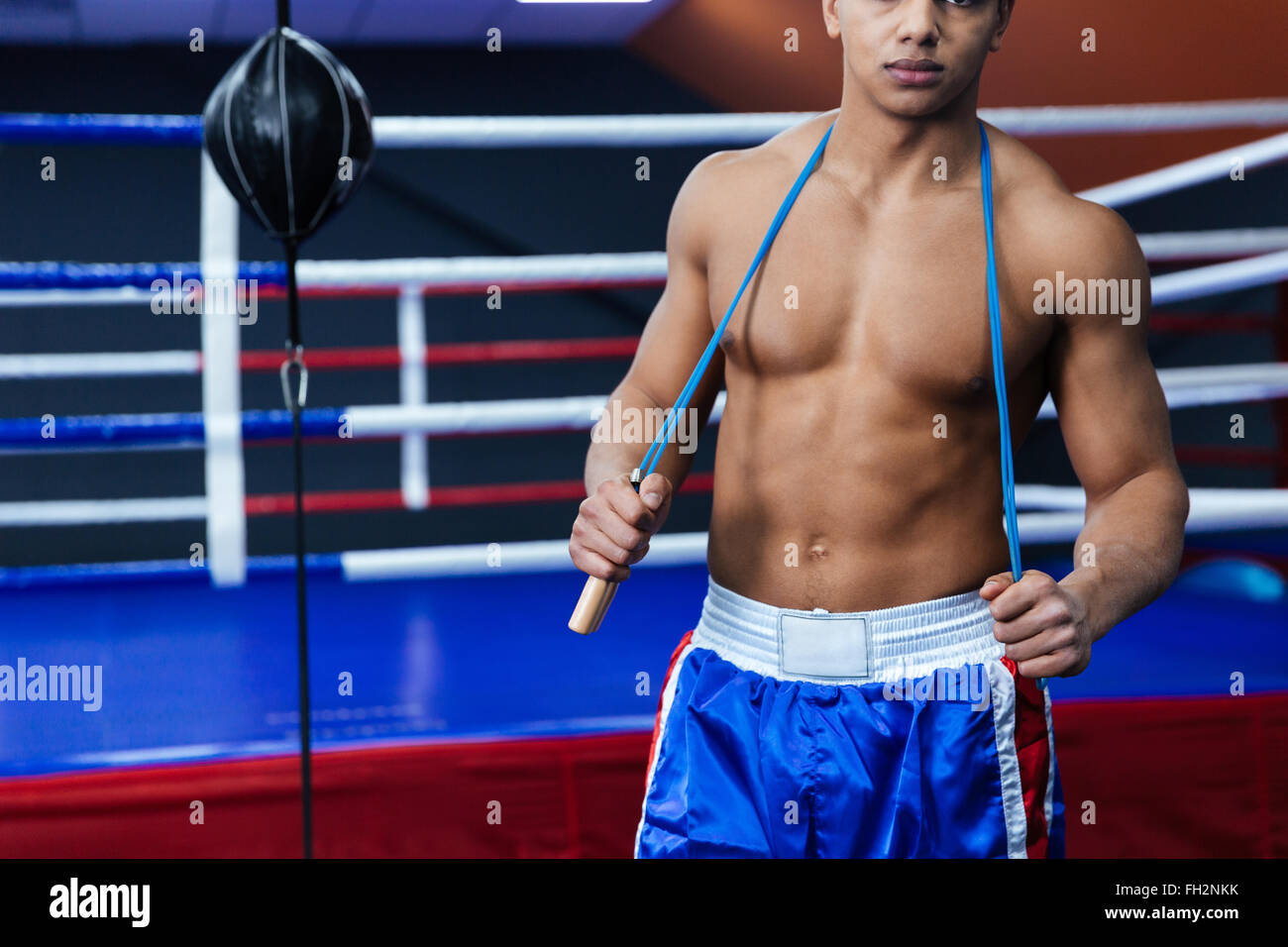 Boxer Skipping High Resolution Stock Photography and Images - Alamy
