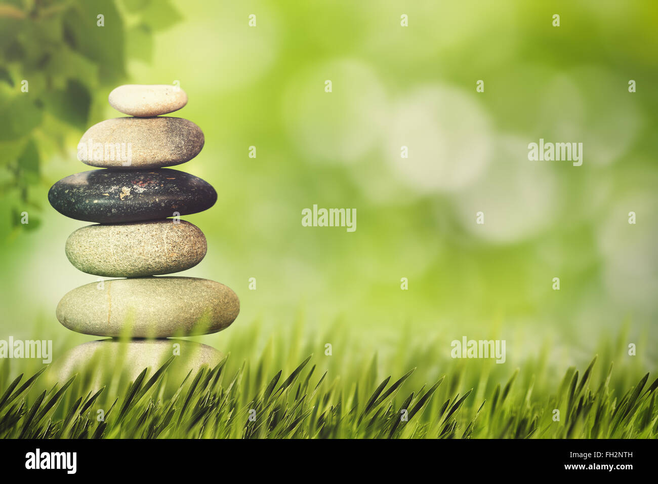 Wellness, health and natural harmony concept. Abstract natural ...