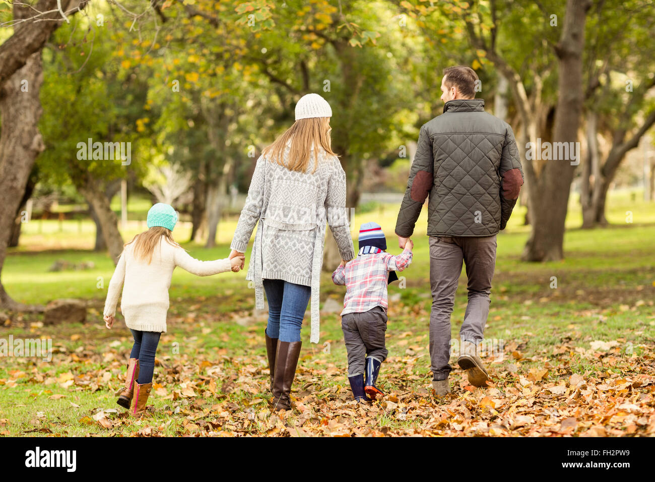 Rear view of a young family Stock Photo - Alamy