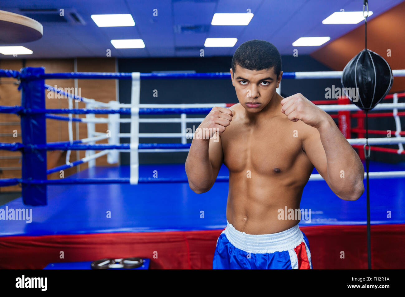 Handsome boxer training in gym Stock Photo - Alamy