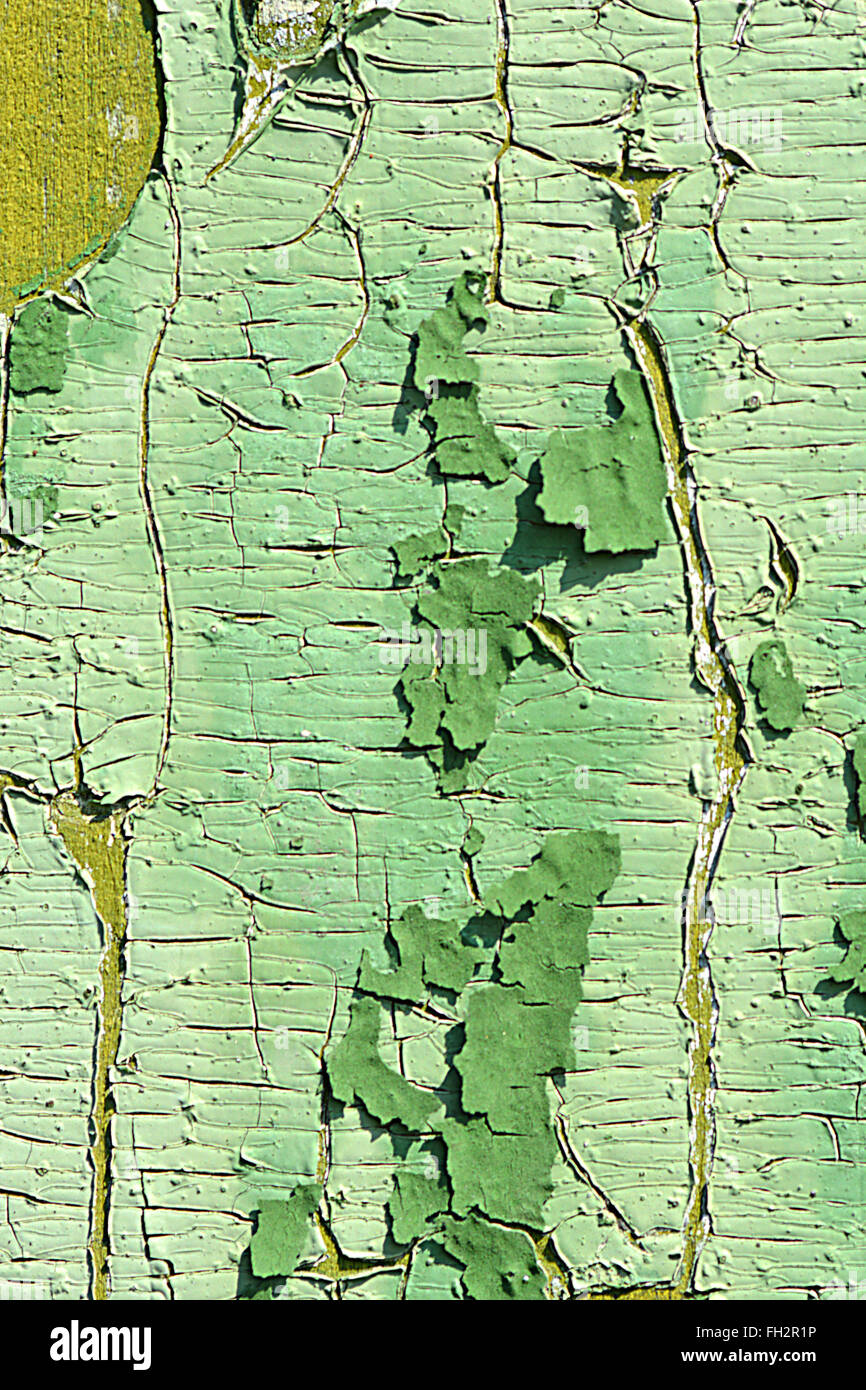 old wood tree bark texture with green moss Stock Photo - Alamy