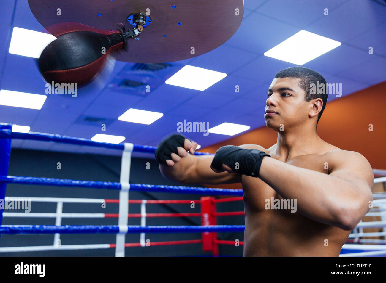 Handsome boxer exercising with the speed bag Stock Photo - Alamy