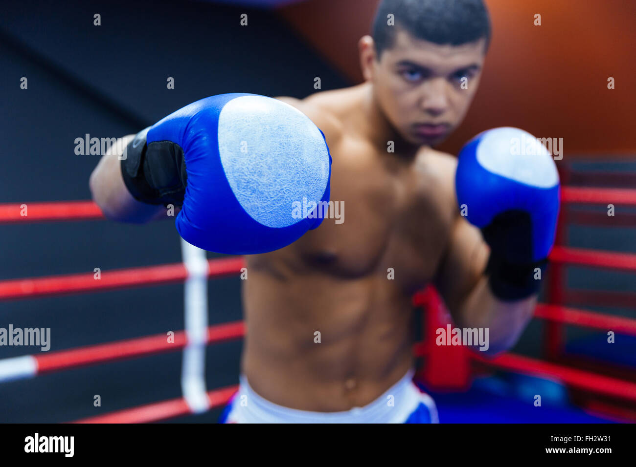 Male boxer fighting in boxing ring Stock Photo - Alamy