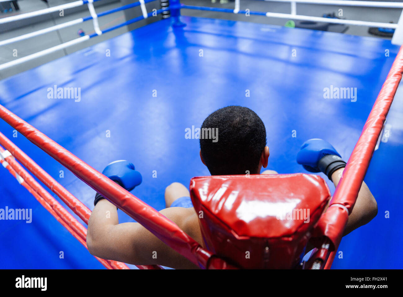 Back view portrait of a male boxer sitting in the corner of boxing ring ...