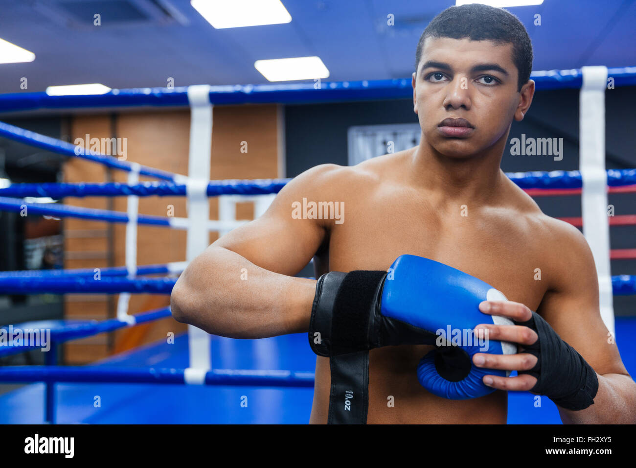 Handsome male boxer getting ready for fight Stock Photo - Alamy