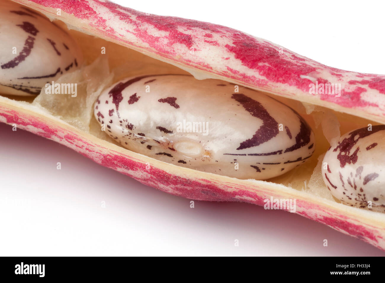 Fresh raw Borlotti beans in the shell on white background Stock Photo ...