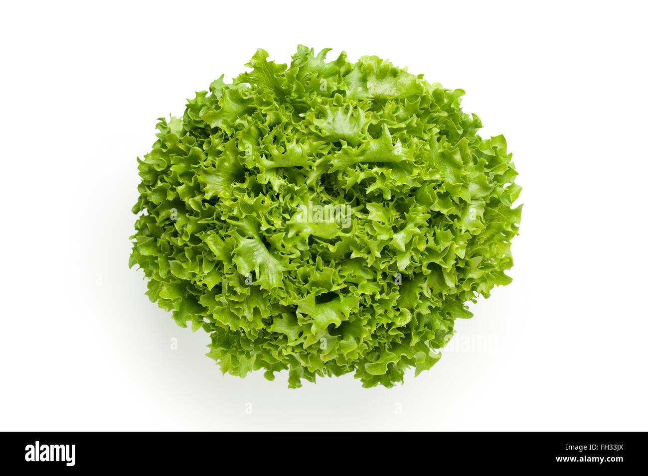Fresh Lollo bionde lettuce seen from above isolated on white background ...