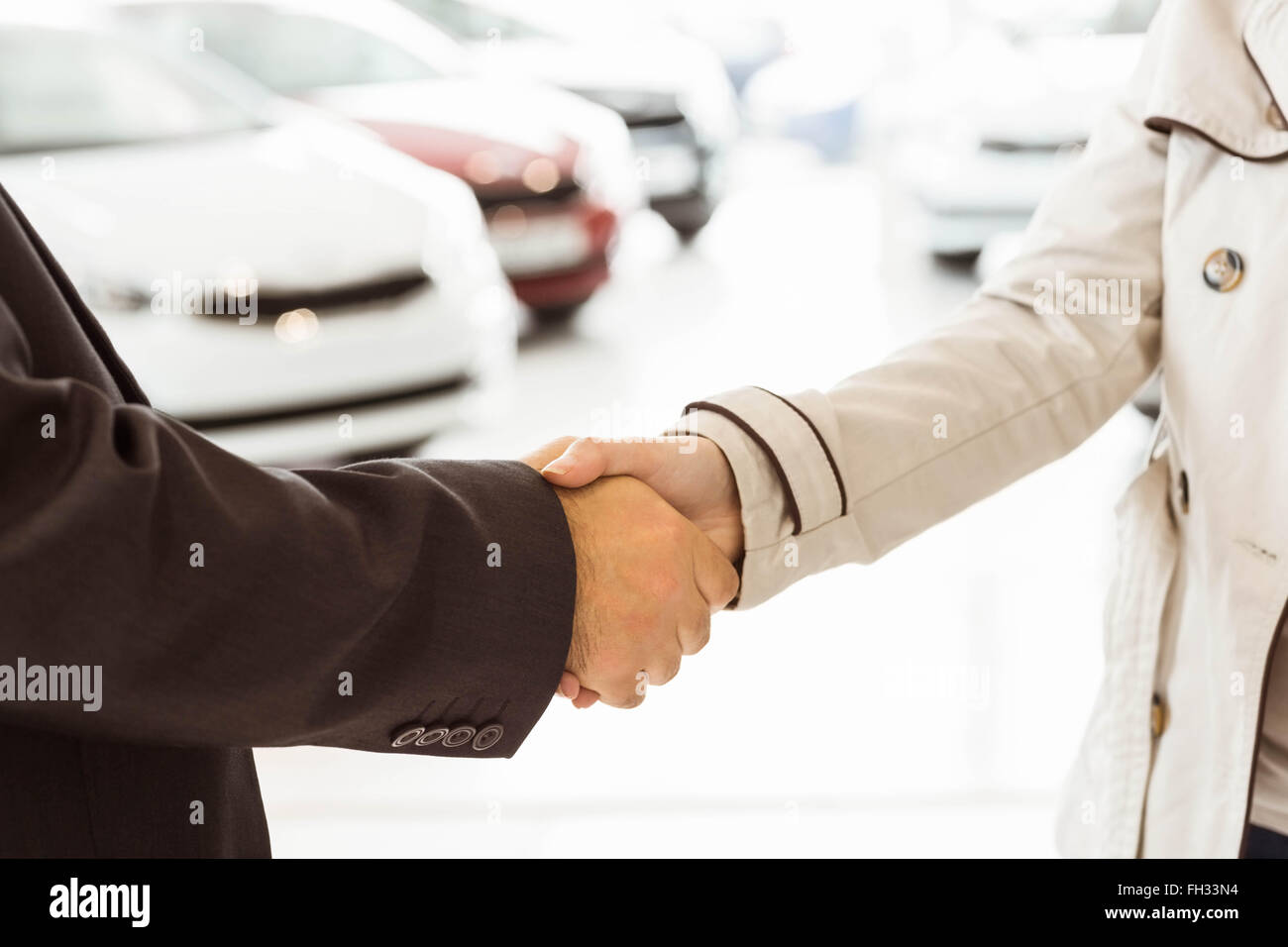 Salesman shaking a customer hand Stock Photo - Alamy