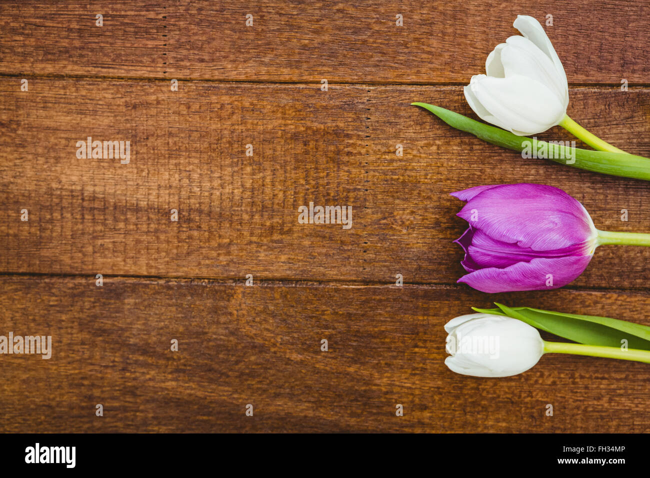 Few purple and white flowers Stock Photo - Alamy