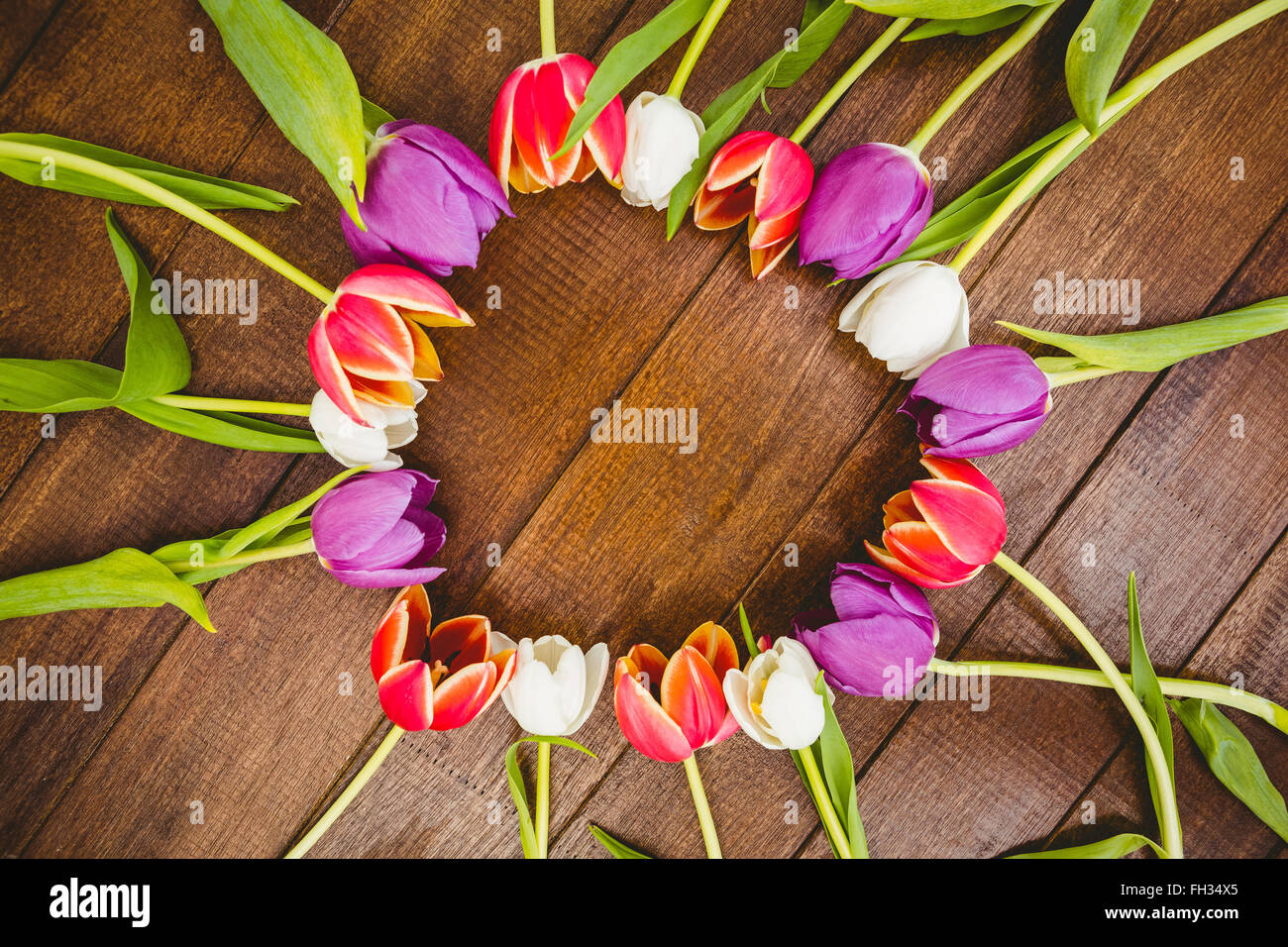 Circle of purple and red flowers Stock Photo - Alamy
