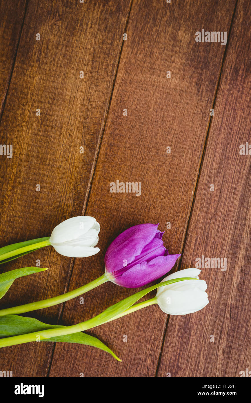 Few purple and white flowers Stock Photo - Alamy