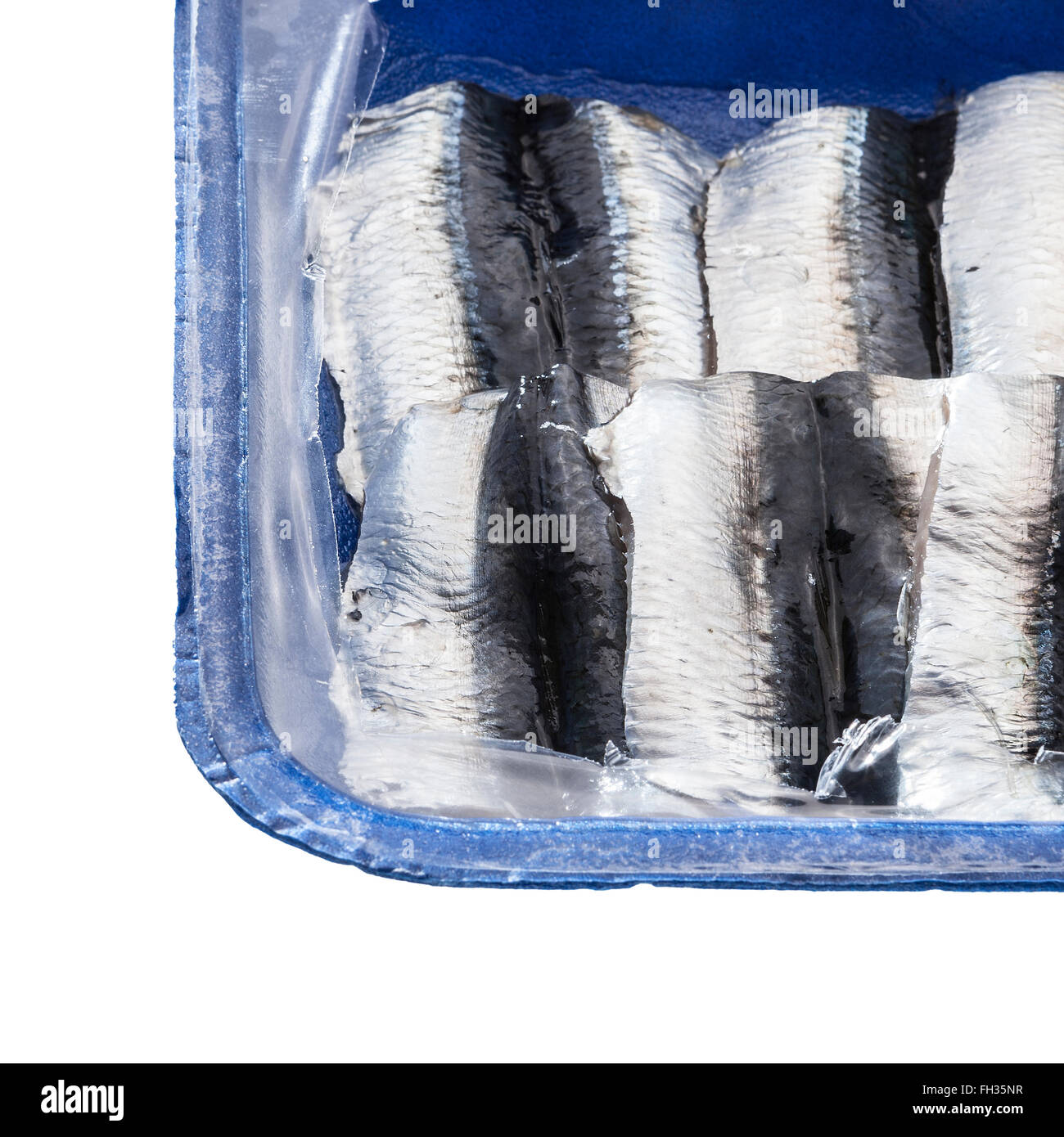 clean raw sardines Stock Photo - Alamy