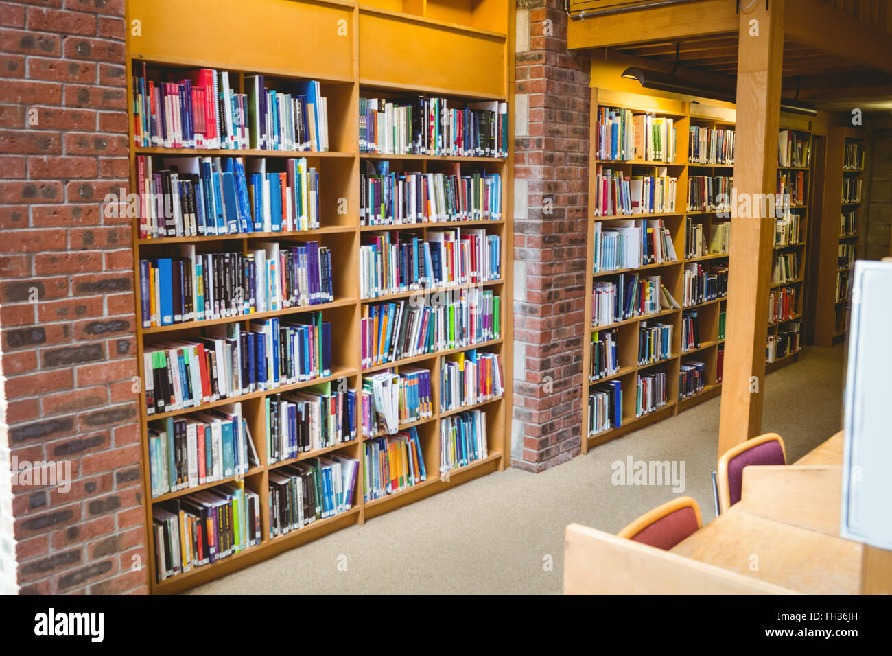 Student reading a book from shelf in library Stock Photo - Alamy