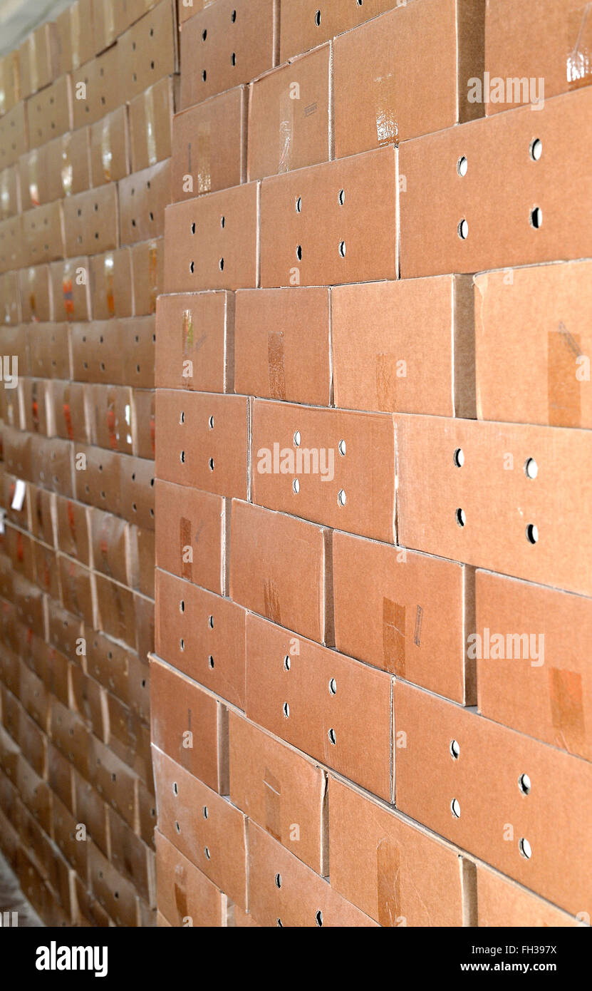Cardboard packing boxes in a warehouse, background Stock Photo - Alamy