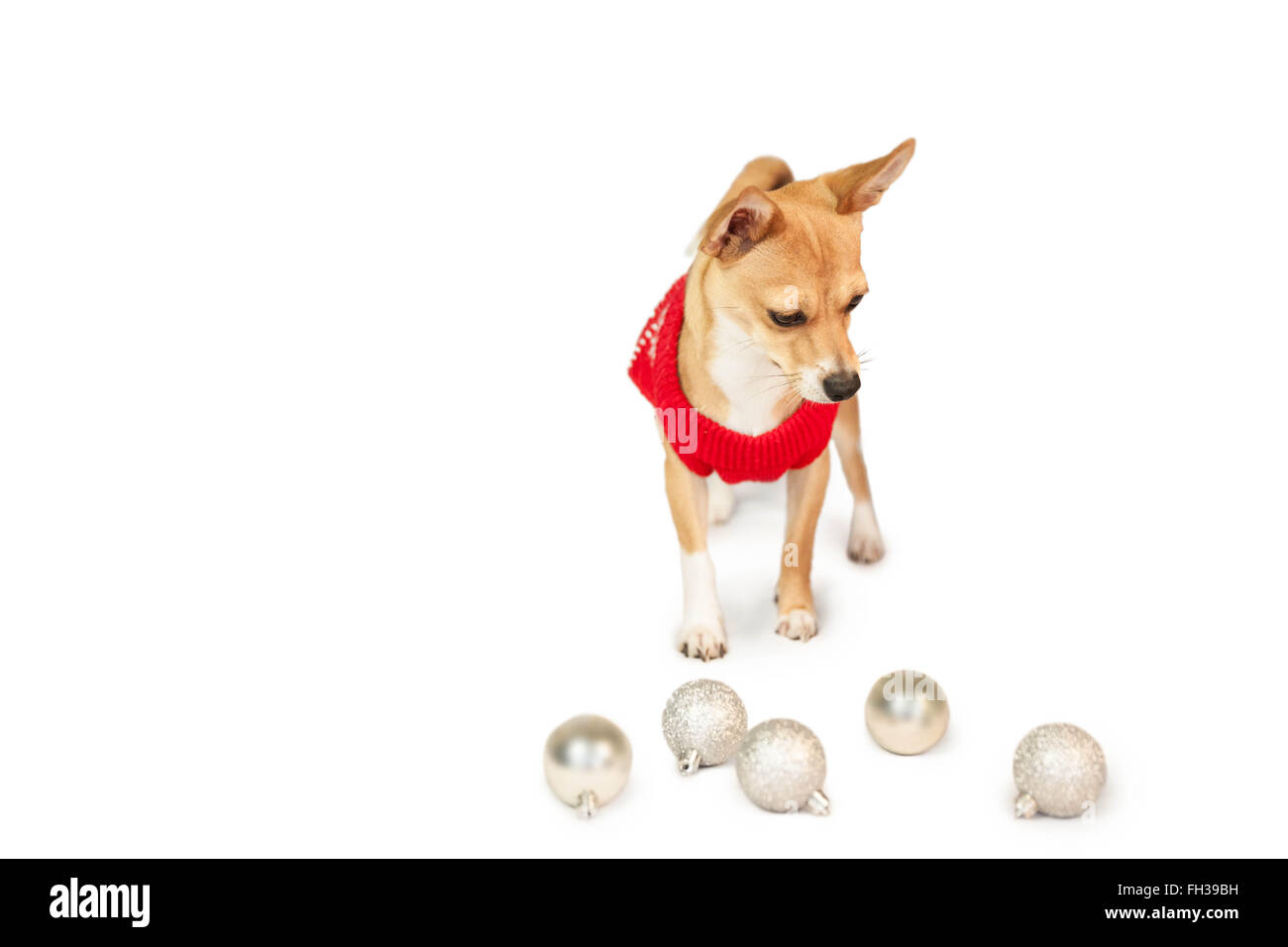 Cute baubles Cut Out Stock Images & Pictures - Alamy