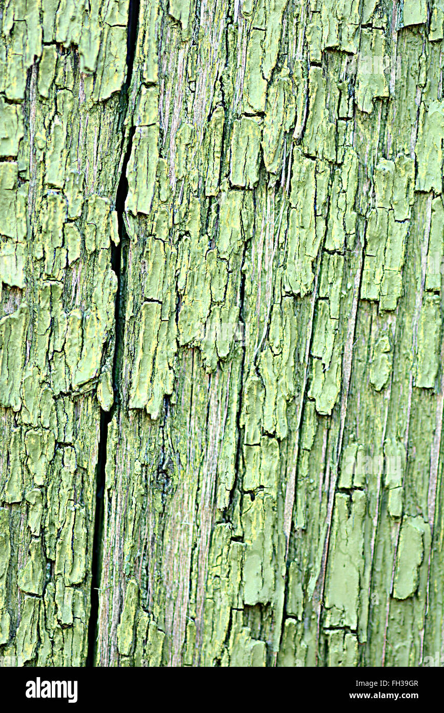 Dark green wood. Natural texture background Stock Photo - Alamy