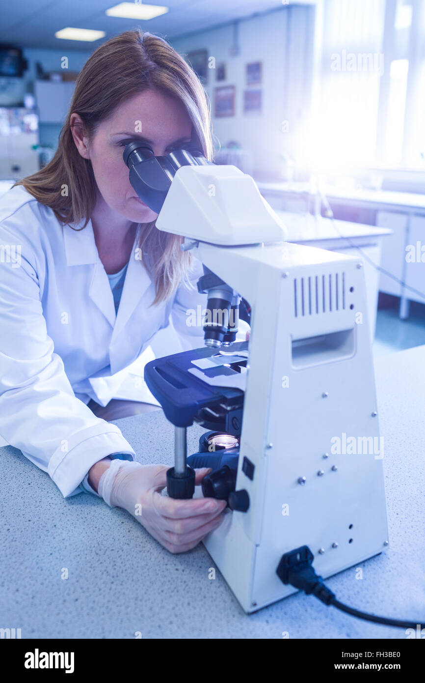 Scientist working with a microscope in laboratory Stock Photo - Alamy