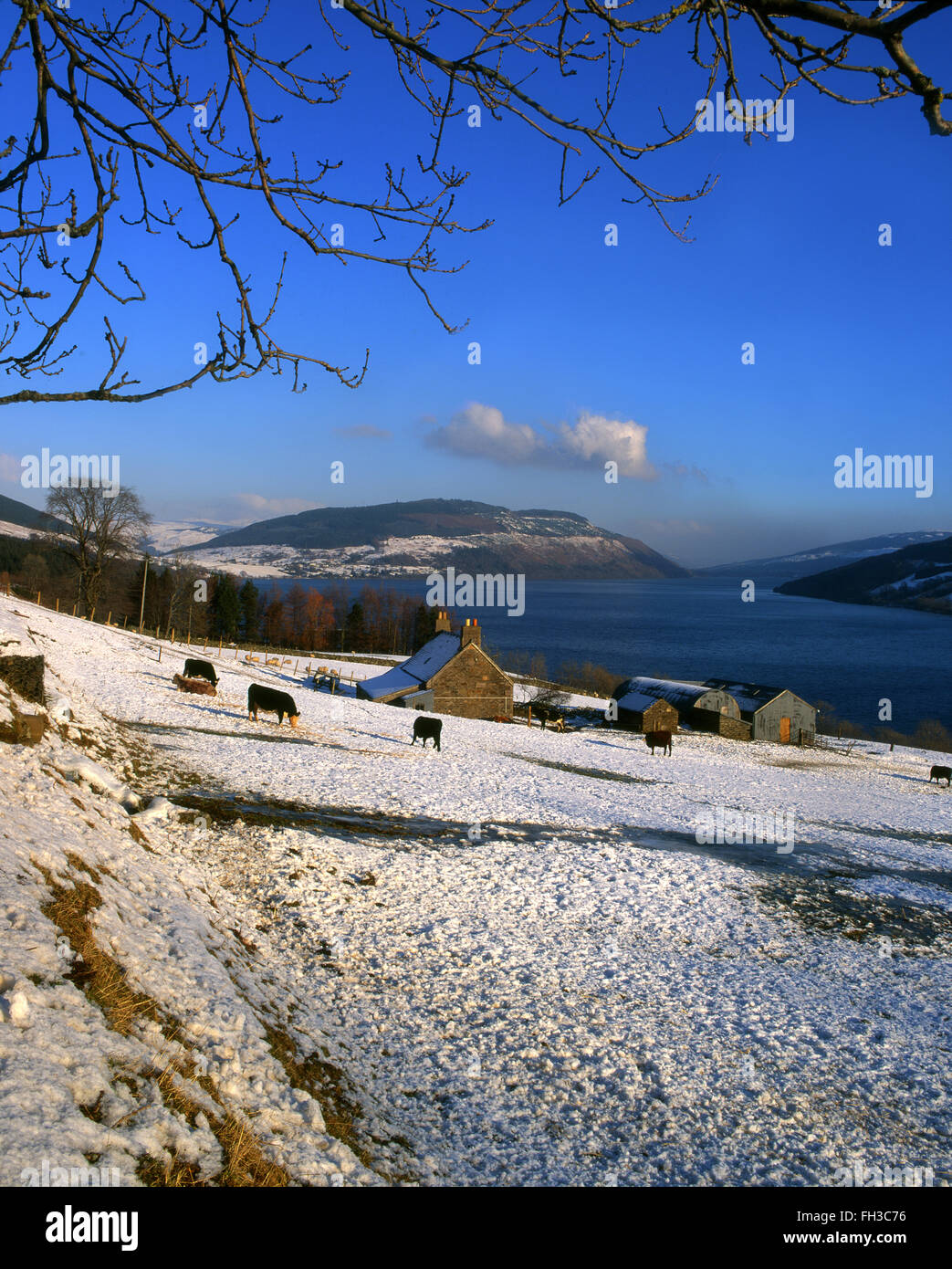 Winter scene on Loch Tay, Perthshire Stock Photo - Alamy