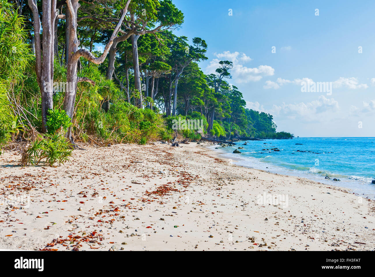 Neil island andaman india hi-res stock photography and images - Alamy