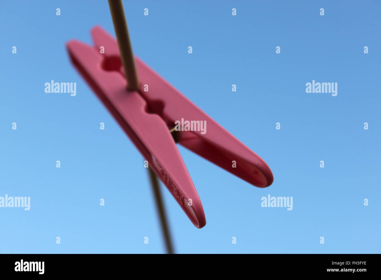 Just One Pink Peg Stock Photo - Alamy