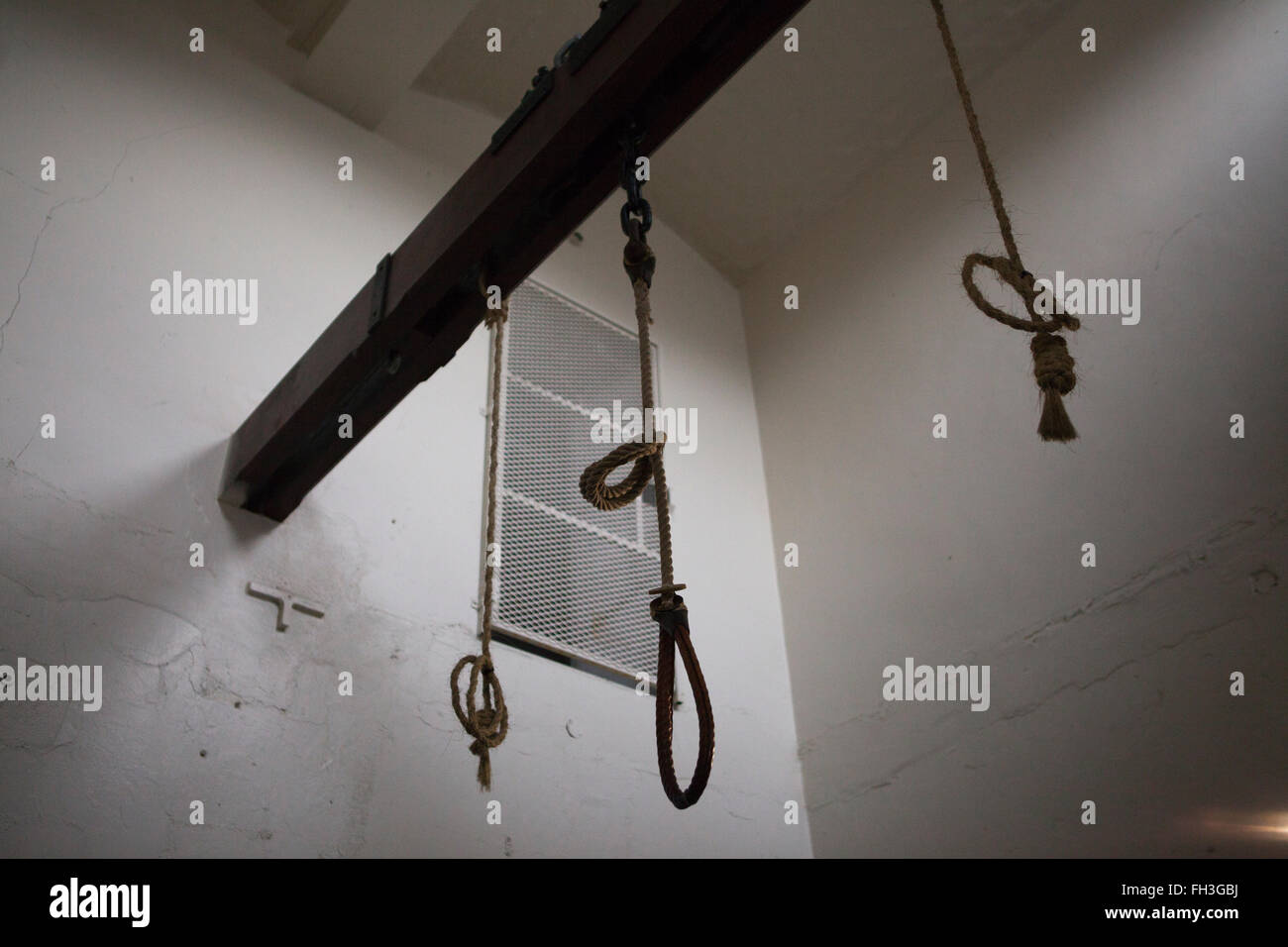 Women prison cell uk High Resolution Stock Photography and Images - Alamy