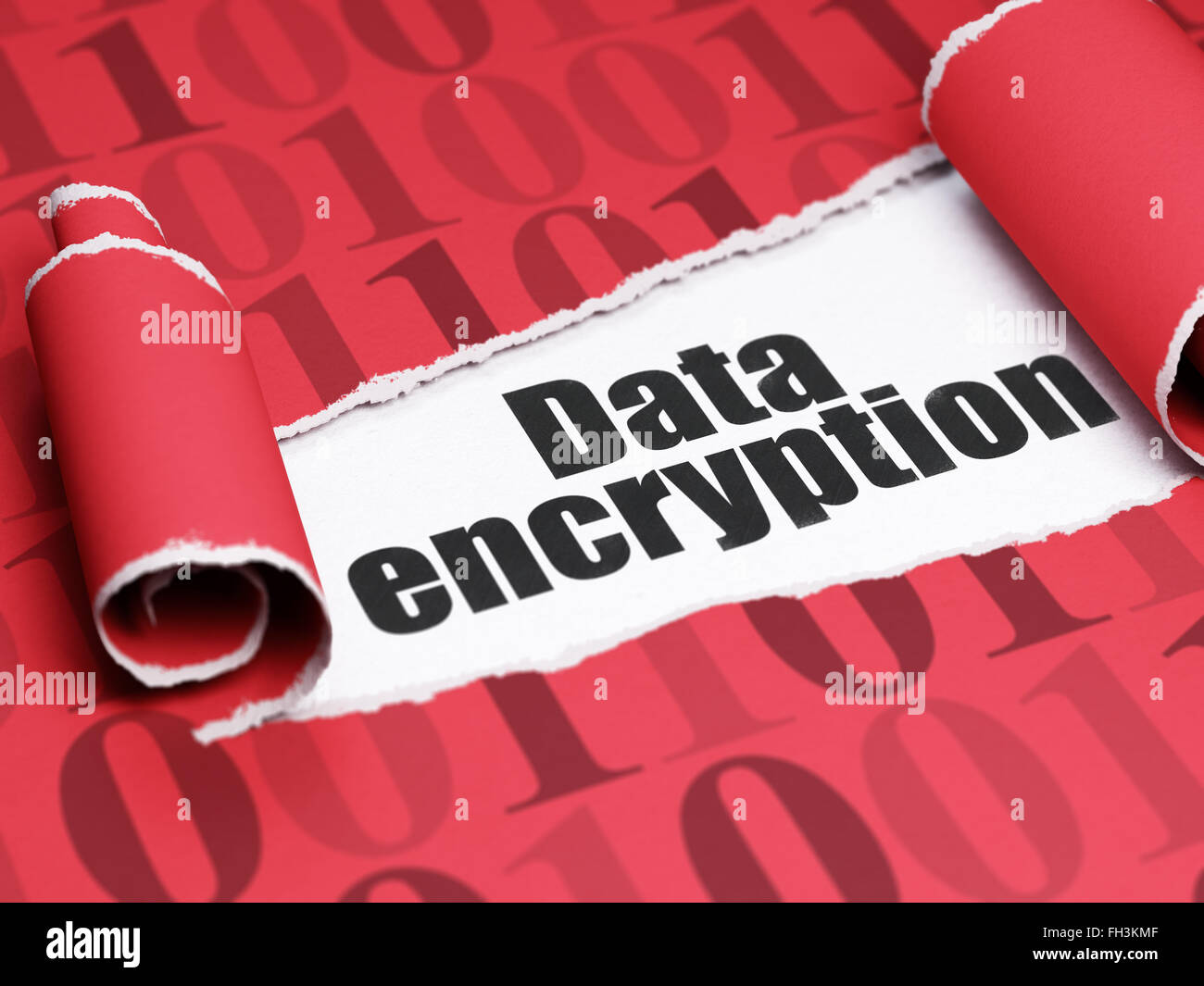 Protection concept: black text Data Encryption under the piece of torn ...