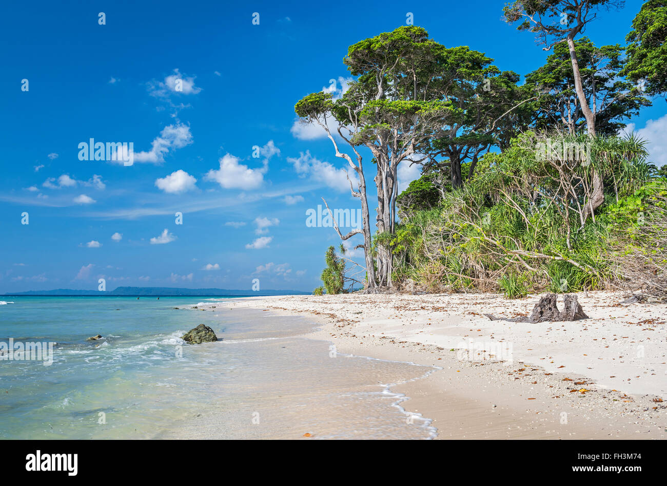 View of Laxmanpur beach In Neil Island, Andaman and Nicobar, India ...