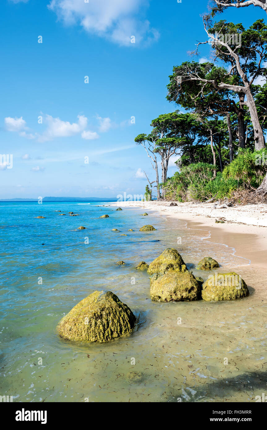 View of sea shore at Laxmanpur Beach, Neil Island, Andaman, India Stock ...