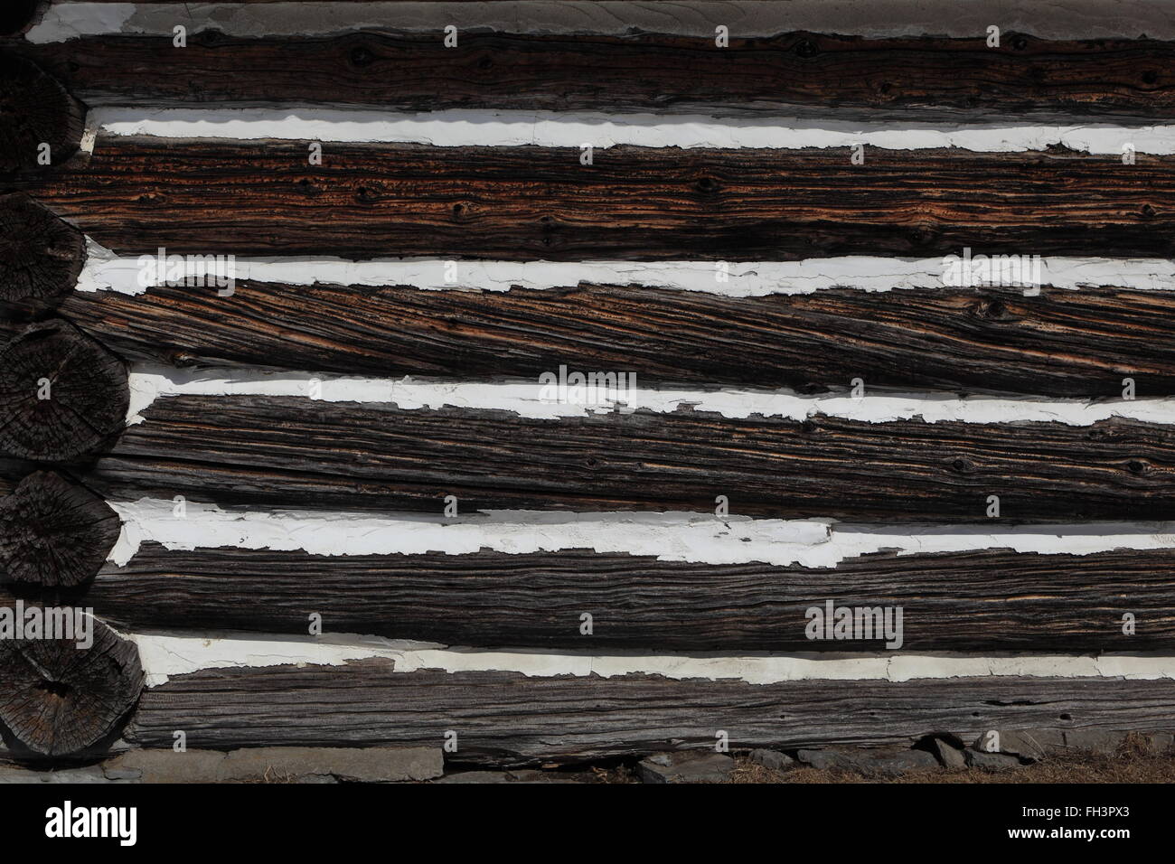 The texture of the log house elements showing wood fiber, March 29 ...