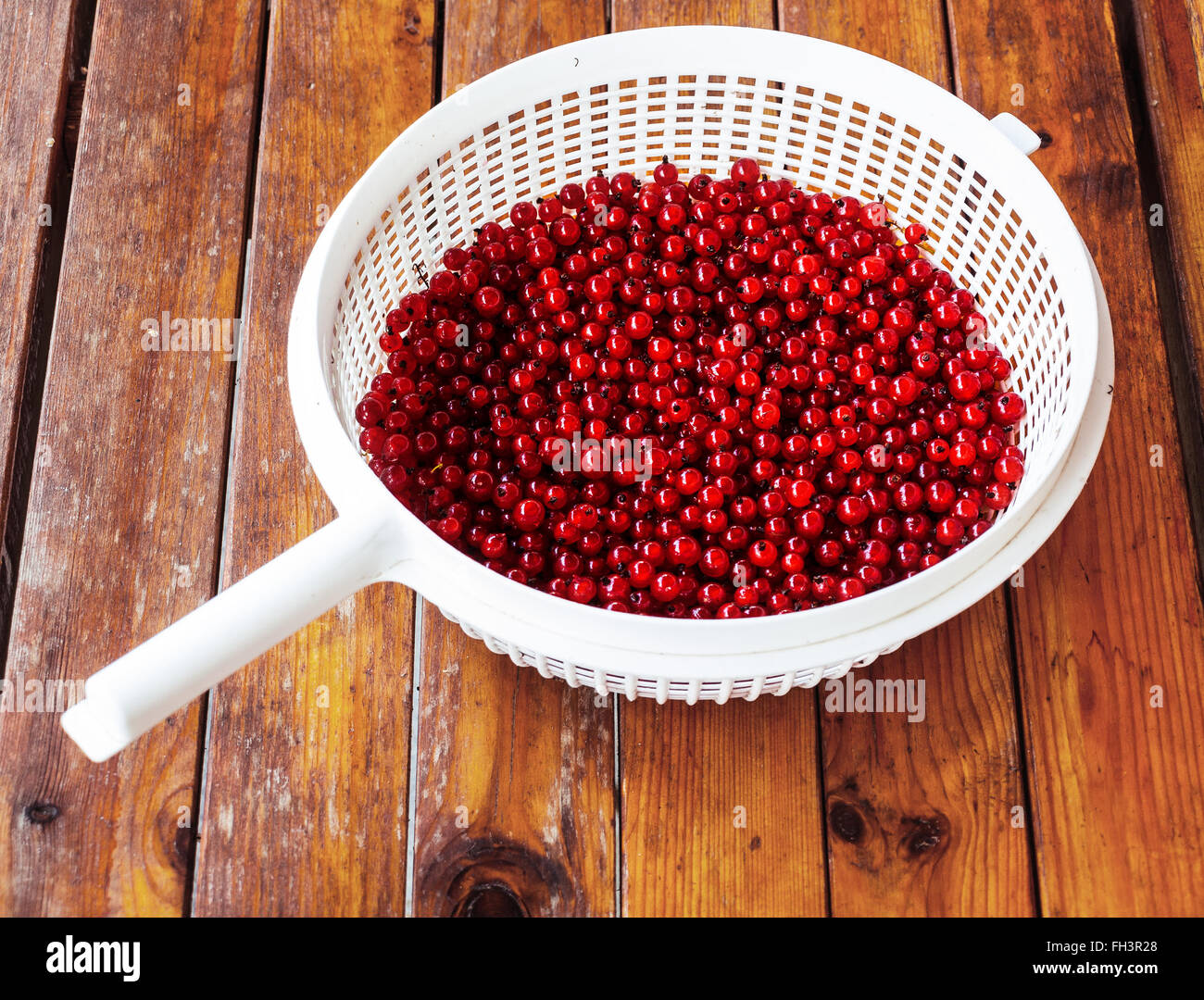 red currants in sieve Stock Photo - Alamy