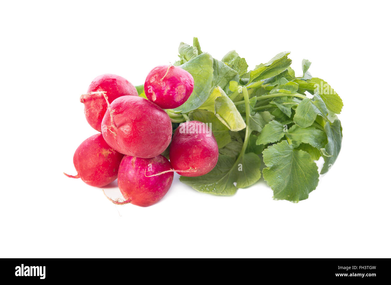 fresh raw spicy radish on white background Stock Photo - Alamy