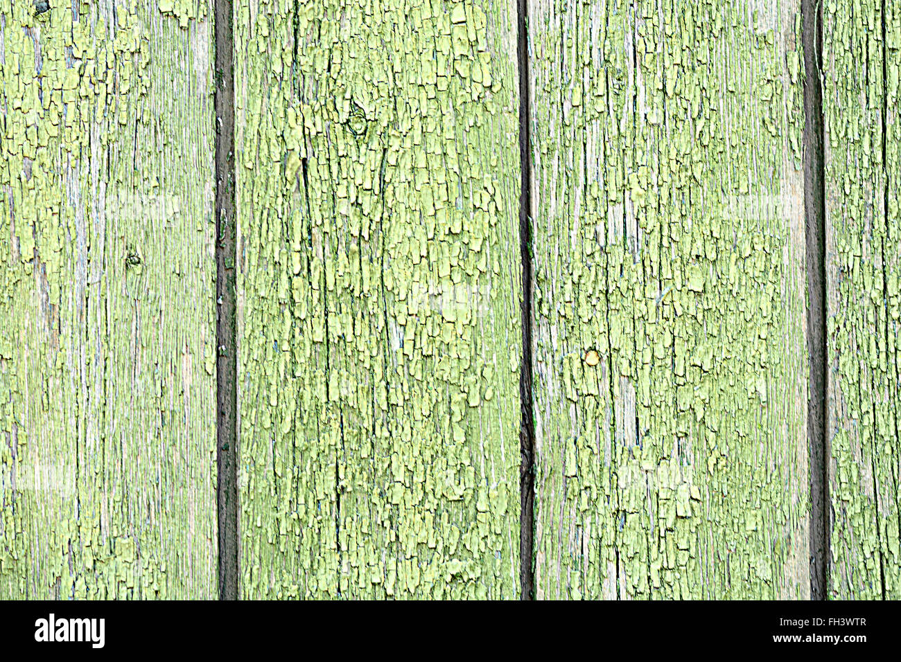 green tree bark texture background Stock Photo - Alamy