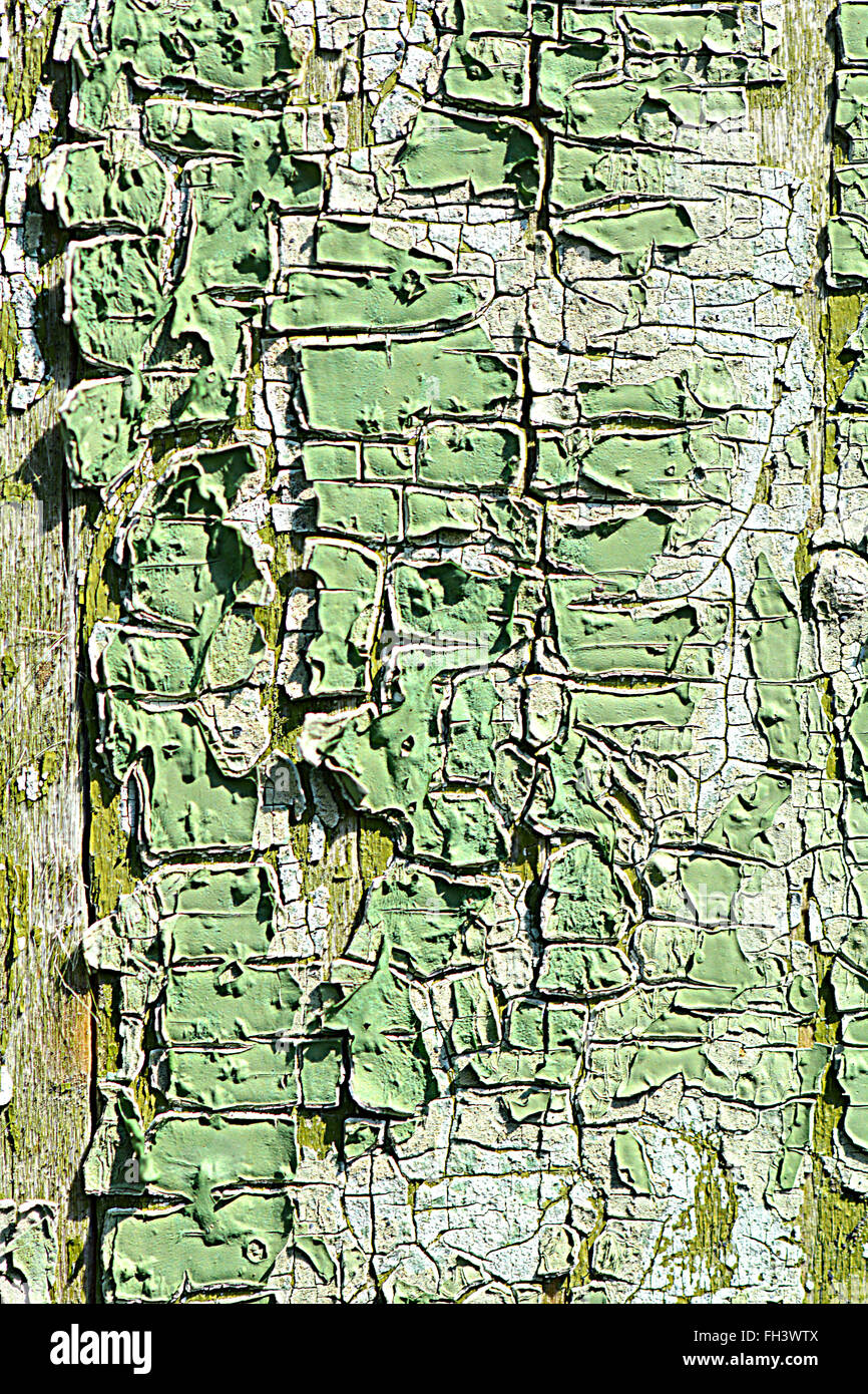 Cracked tree bark texture hi-res stock photography and images - Alamy