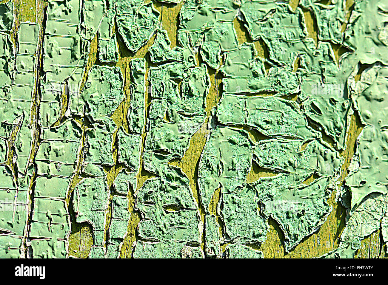 Old green tree bark texture closeup Stock Photo - Alamy