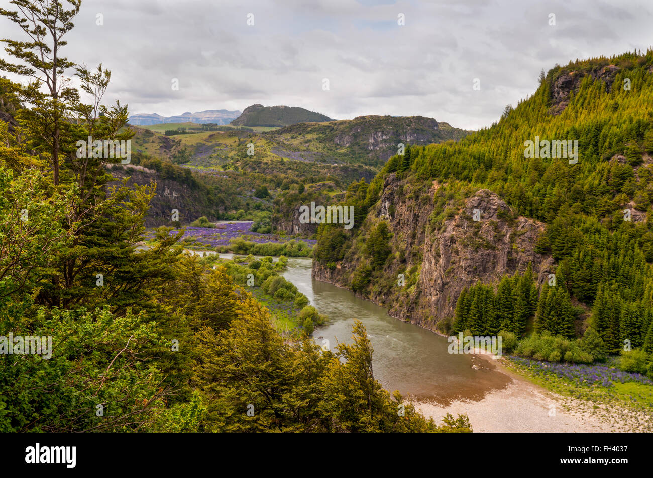 Simpson River Valley, Simpson River National Park, near Puerto Aisen ...